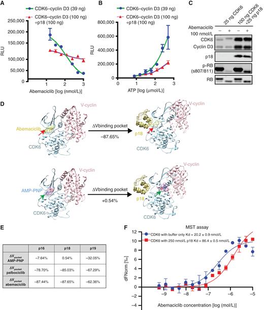 INK4 Tumor Suppressor Proteins Mediate Resistance to CDK4/6 Kinase ...