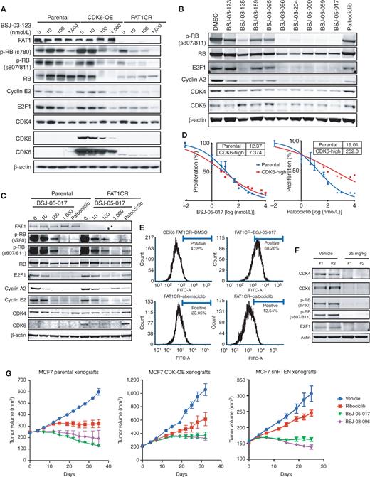 INK4 Tumor Suppressor Proteins Mediate Resistance to CDK4/6 Kinase ...