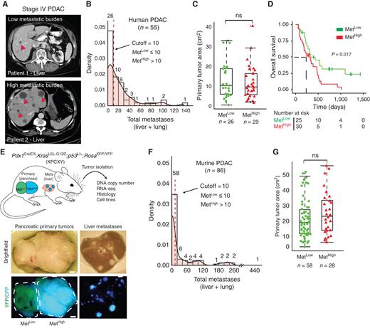 MYC Levels Regulate Metastatic Heterogeneity in Pancreatic ...