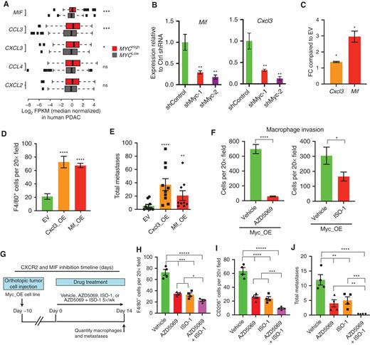 MYC Levels Regulate Metastatic Heterogeneity in Pancreatic ...