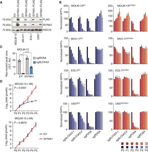 SLC5A3-Dependent Myo-inositol Auxotrophy in Acute Myeloid Leukemia ...