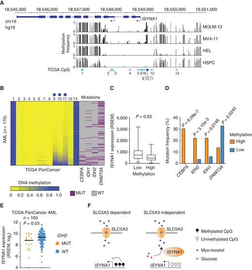 SLC5A3-Dependent Myo-inositol Auxotrophy in Acute Myeloid Leukemia ...