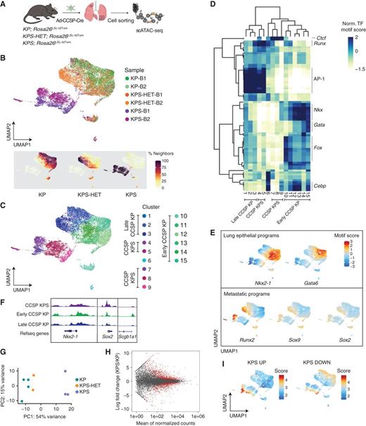 Smarca4 Inactivation Promotes Lineage-Specific Transformation and Early ...