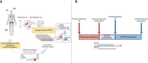 Functional Precision Medicine Provides Clinical Benefit in Advanced ...