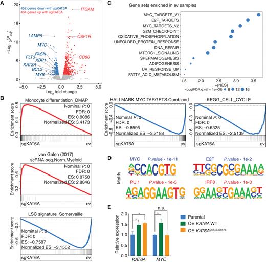 KAT6A and ENL Form an Epigenetic Transcriptional Control Module to ...