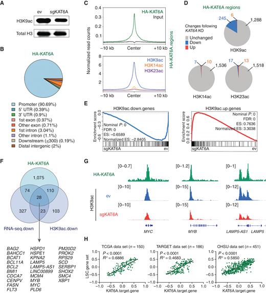 KAT6A and ENL Form an Epigenetic Transcriptional Control Module to ...