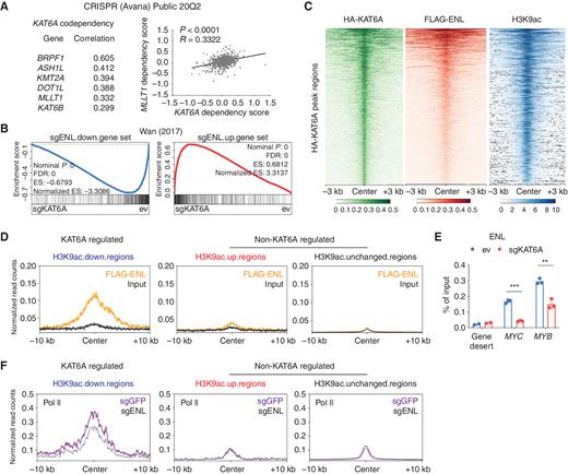 KAT6A and ENL Form an Epigenetic Transcriptional Control Module to ...