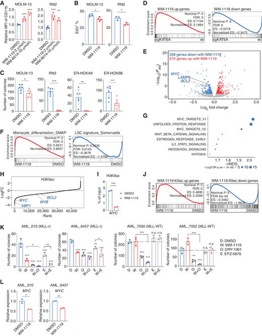 KAT6A and ENL Form an Epigenetic Transcriptional Control Module to ...