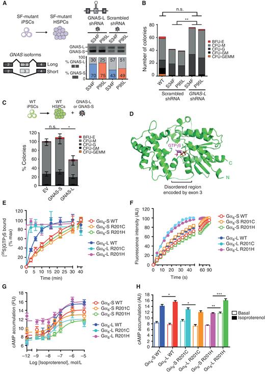 Integrative RNA-omics Discovers GNAS Alternative Splicing as a ...