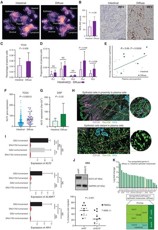 Single-Cell Atlas of Lineage States, Tumor Microenvironment, and ...