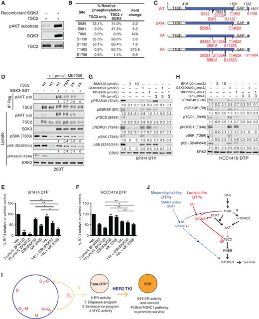 Ontogeny and Vulnerabilities of Drug-Tolerant Persisters in HER2 ...