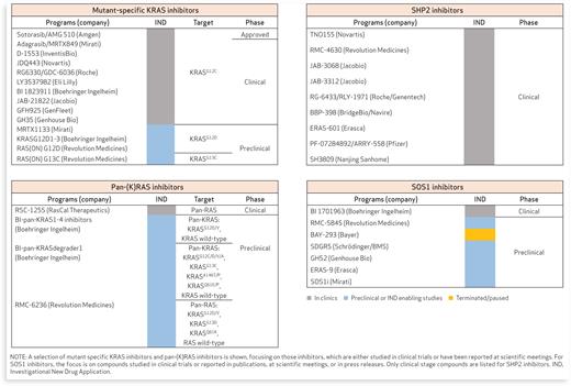 Expanding the Reach of Precision Oncology by Drugging All KRAS Mutants ...