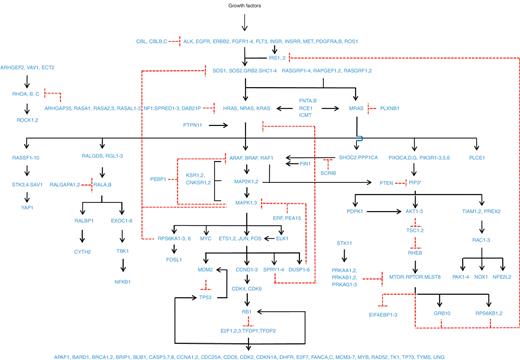 RAS at 40: Update from the RAS Initiative | Cancer Discovery | American ...