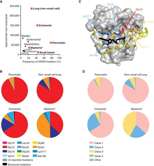 Classification of KRAS-Activating Mutations and the Implications for ...