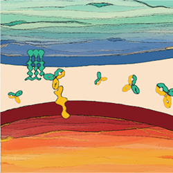 In This Issue | Cancer Discovery | American Association for Cancer Research