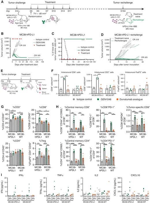Preclinical Characterization and Phase I Trial Results of a Bispecific ...