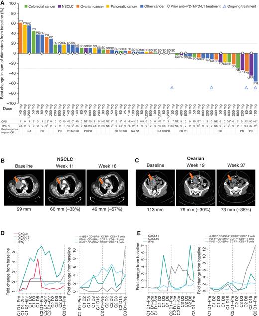 Preclinical Characterization and Phase I Trial Results of a Bispecific ...
