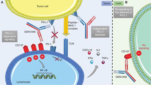 Converting Tumoral PD-L1 into a 4-1BB Agonist for Safer and More ...