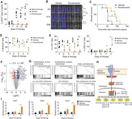 Epigenetic Activation of Plasmacytoid DCs Drives IFNAR-Dependent ...
