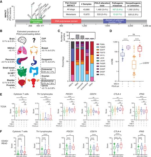 PD-1 Blockade in Solid Tumors with Defects in Polymerase Epsilon ...