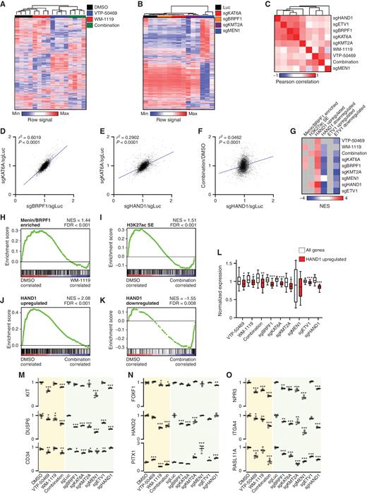 MOZ and Menin–MLL Complexes Are Complementary Regulators of Chromatin ...