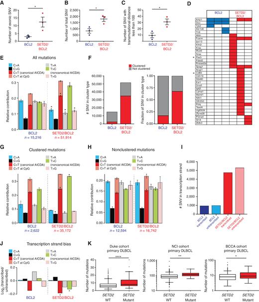 SETD2 Haploinsufficiency Enhances Germinal Center–Associated AICDA ...