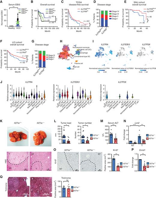 IL27 Signaling Serves as an Immunologic Checkpoint for Innate Cytotoxic ...