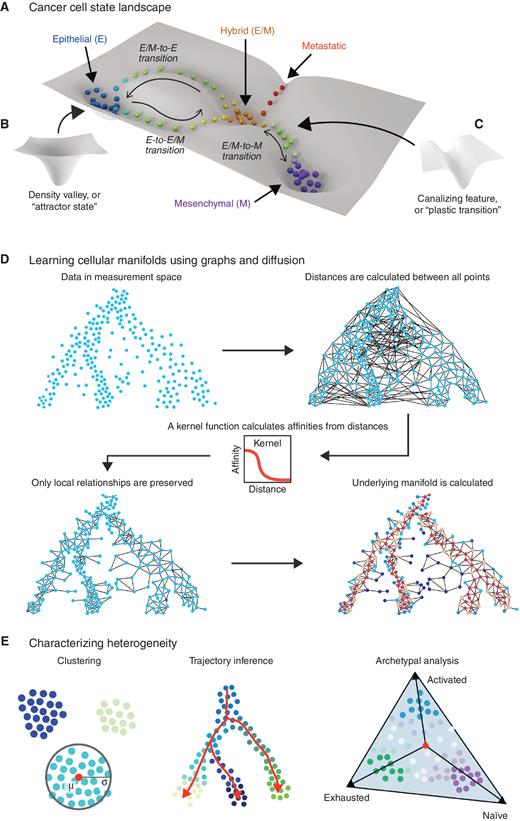 Mapping Phenotypic Plasticity upon the Cancer Cell State Landscape ...