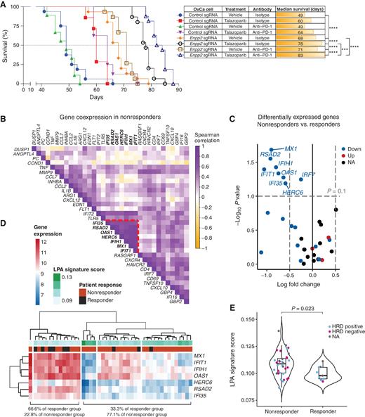 Tumor-Derived Lysophosphatidic Acid Blunts Protective Type I Interferon ...