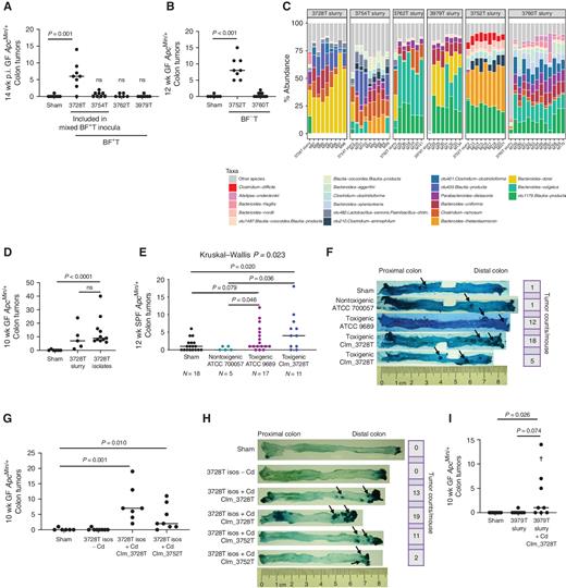 Human Colon Cancer–Derived Clostridioides difficile Strains Drive ...