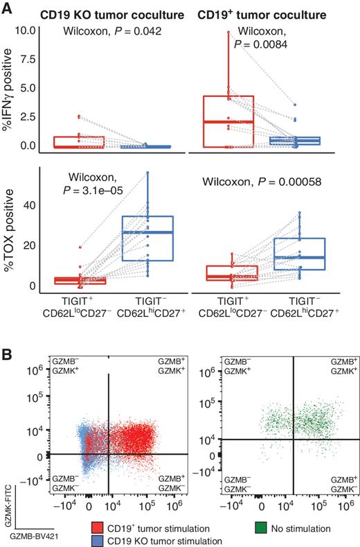 Common Trajectories of Highly Effective CD19-Specific CAR T Cells ...