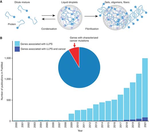 Biomolecular Condensation: A New Phase in Cancer Research | Cancer ...