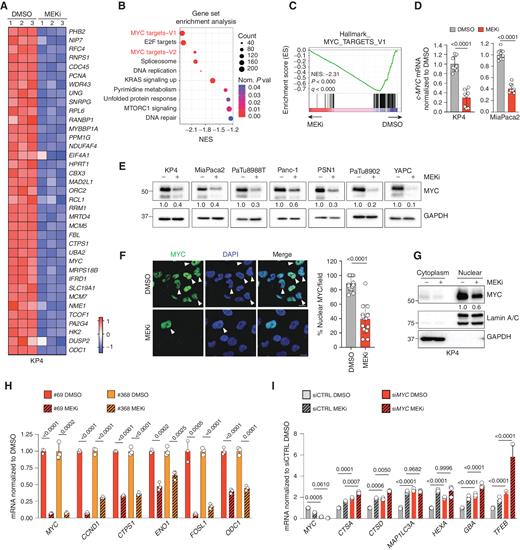Coordinated Transcriptional and Catabolic Programs Support Iron ...