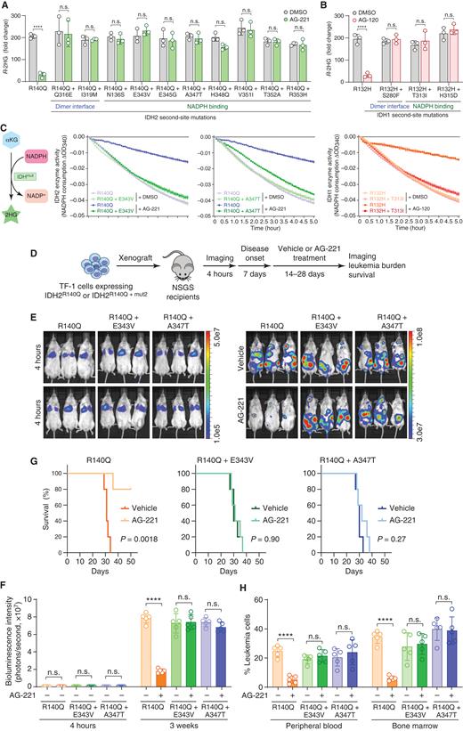 Disabling Uncompetitive Inhibition of Oncogenic IDH Mutations Drives Acquired Resistance ...