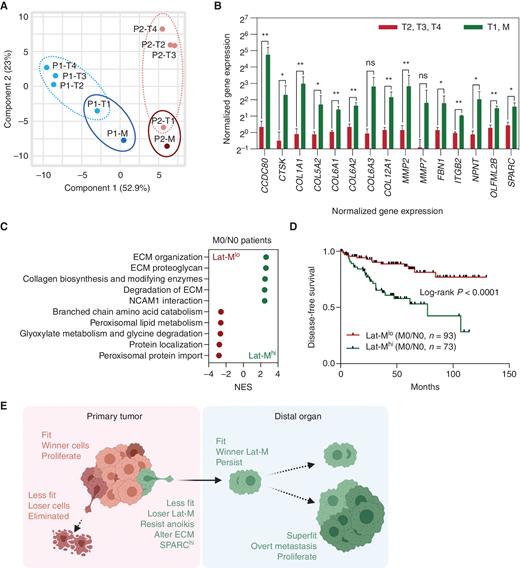 Cell Competition Shapes Metastatic Latency and Relapse | Cancer ...