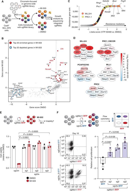 A Molecular Switch between Mammalian MLL Complexes Dictates Response to ...