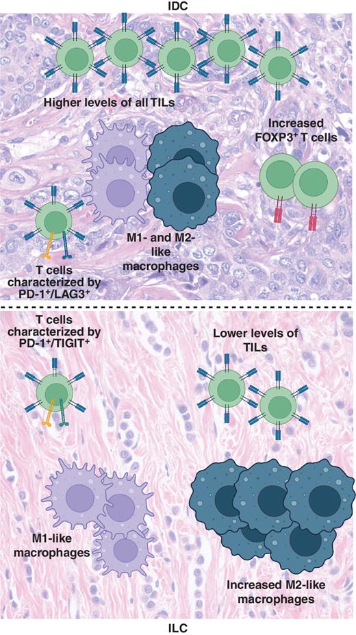 The Great Immune Escape: Understanding the Divergent Immune Response in ...