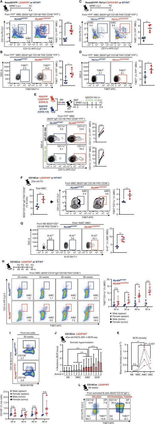 An Aged/Autoimmune B-cell Program Defines the Early Transformation of ...