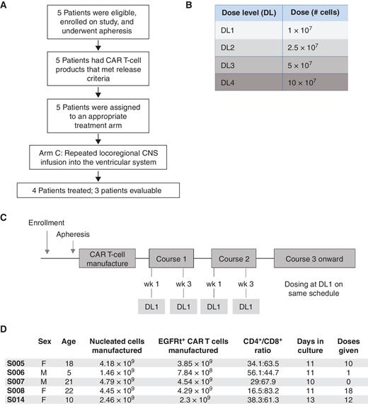 Intraventricular B7-H3 CAR T Cells for Diffuse Intrinsic Pontine Glioma ...