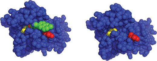 Covalent Rescue of Mutant p53 | Cancer Discovery | American Association ...