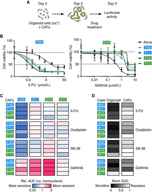 Colorectal Cancer Organoid–Stroma Biobank Allows Subtype-Specific ...