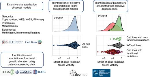 Precision Oncology Comes of Age: Designing Best-in-Class Small ...