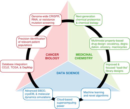 Precision Oncology Comes of Age: Designing Best-in-Class Small ...