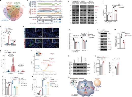 An Inflammatory Checkpoint Generated by IL1RN Splicing Offers ...