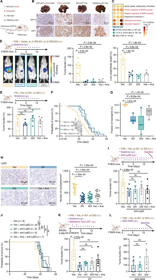 An Inflammatory Checkpoint Generated by IL1RN Splicing Offers ...