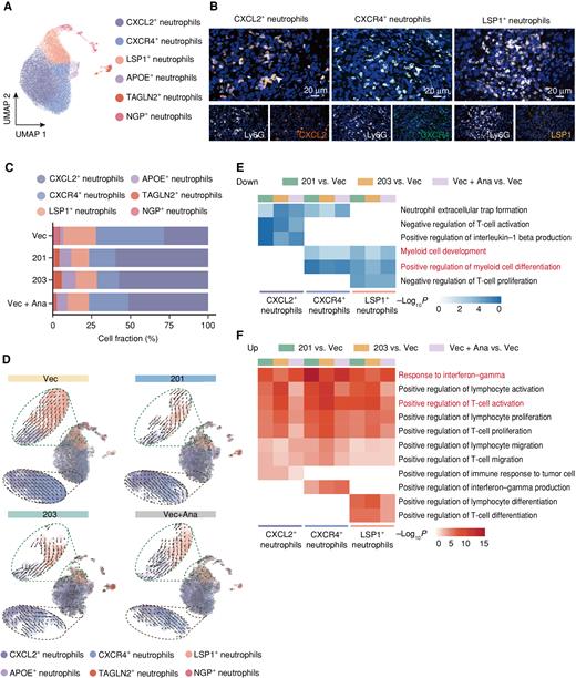 An Inflammatory Checkpoint Generated by IL1RN Splicing Offers ...