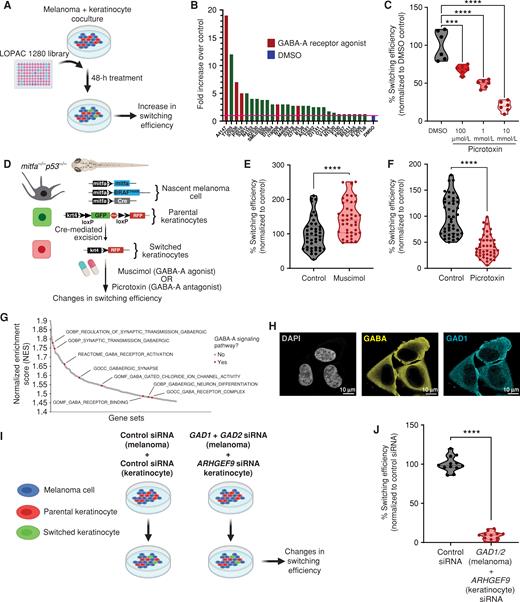 GABA Regulates Electrical Activity and Tumor Initiation in Melanoma ...