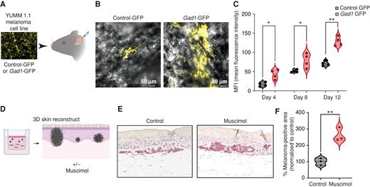 GABA Regulates Electrical Activity and Tumor Initiation in Melanoma ...
