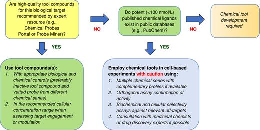 Which Small Molecule? Selecting Chemical Probes for Use in Cancer ...