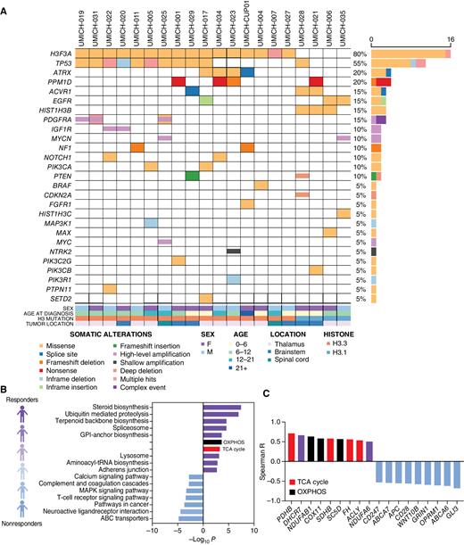 Clinical Efficacy of ONC201 in H3K27M-Mutant Diffuse Midline Gliomas Is ...